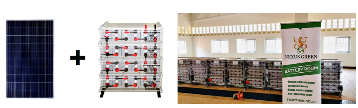 Full Turnkey Solution Provider | Nexus Green